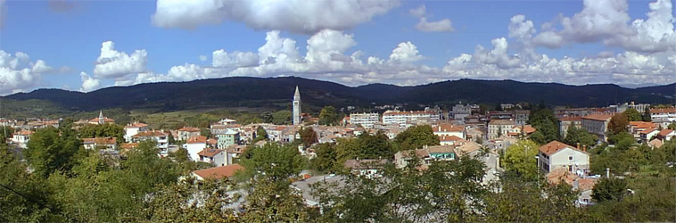 50. znanstveni skup “Pazinski memorijal” u Pazinu – Istarsko povijesno ...