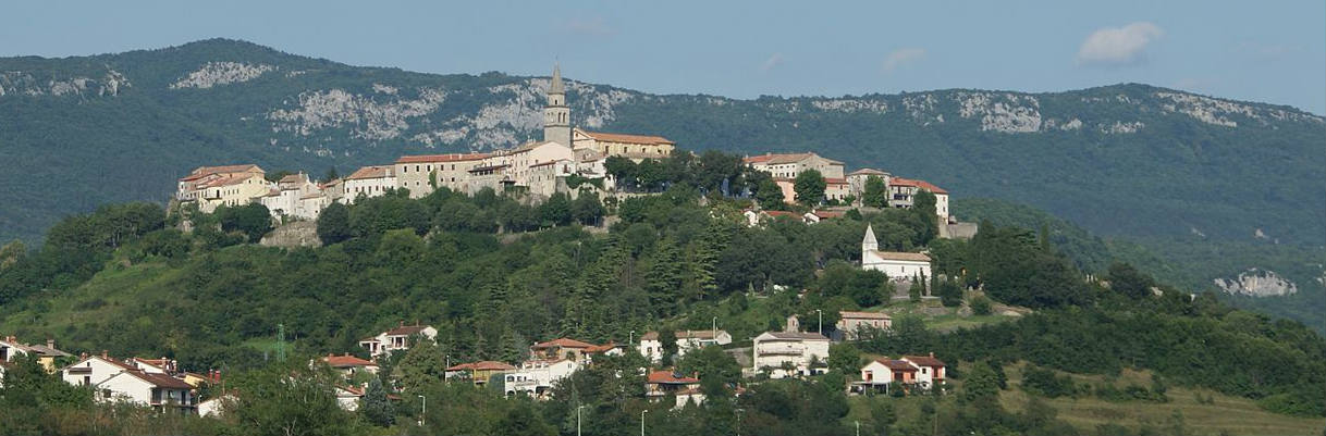 Predstavljanje knjige Danila Cerovca “Antun Cerovac Tončić, prvoborac ...
